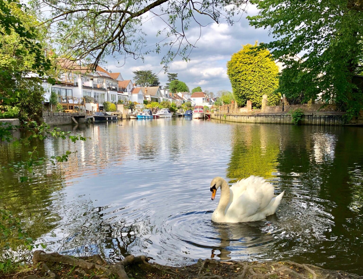 About Spelthorne - Spelthorne K2