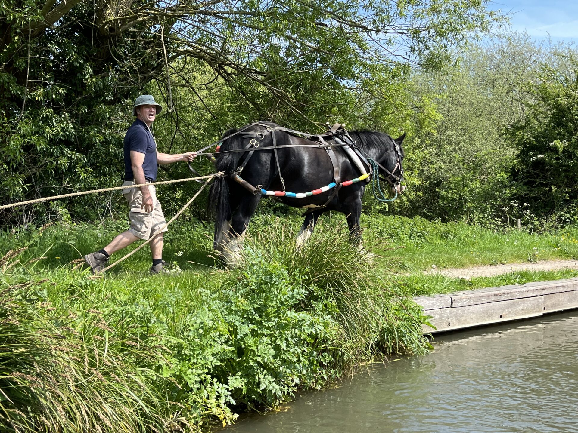 Horse Drawn Narrowboat - Spelthorne K2